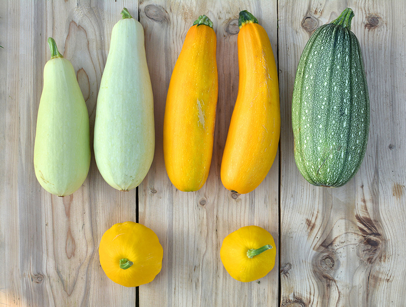 The Fresh Factor: 5 ways zucchini will surprise you